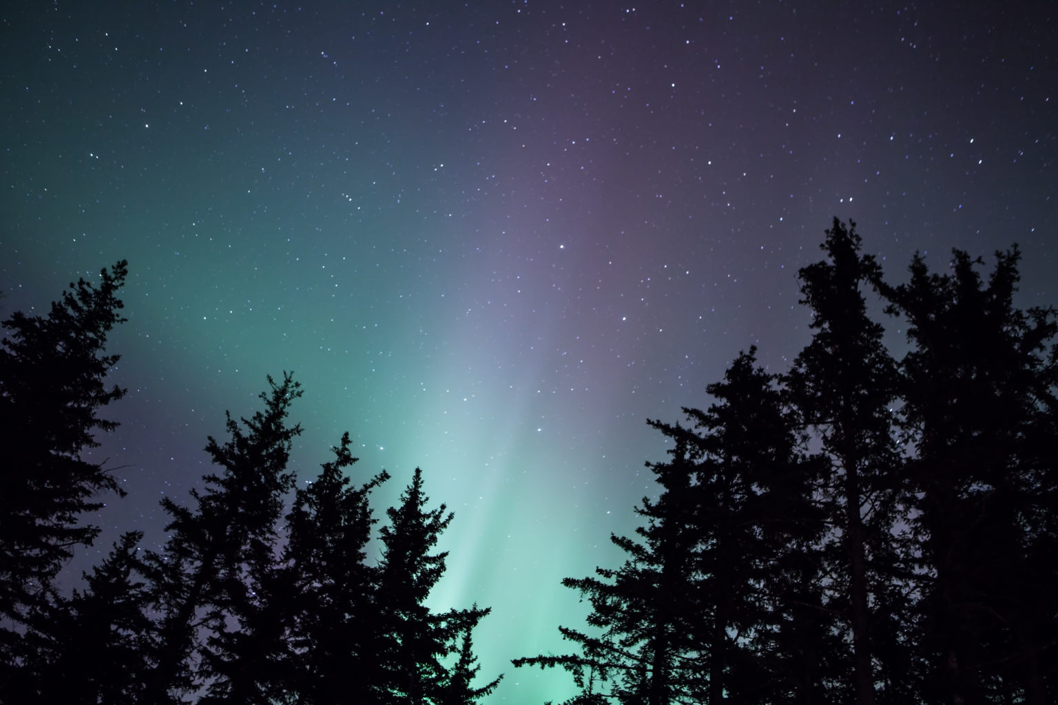 Family of Andy Teuber issues statement on his passing - Must Read Alaska