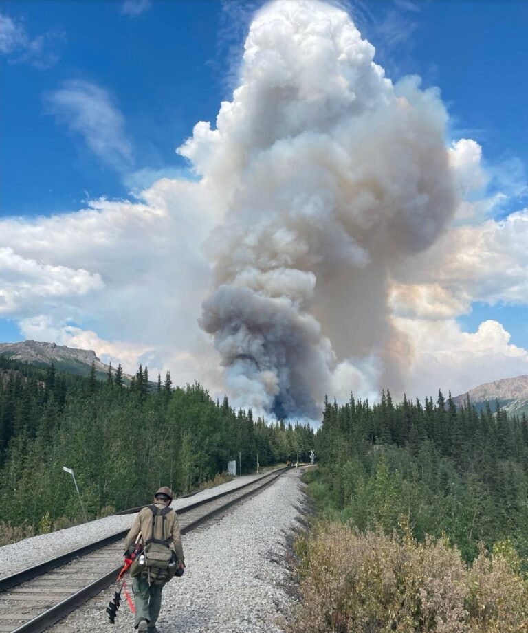 Denali National Park fires prompt closures - Must Read Alaska