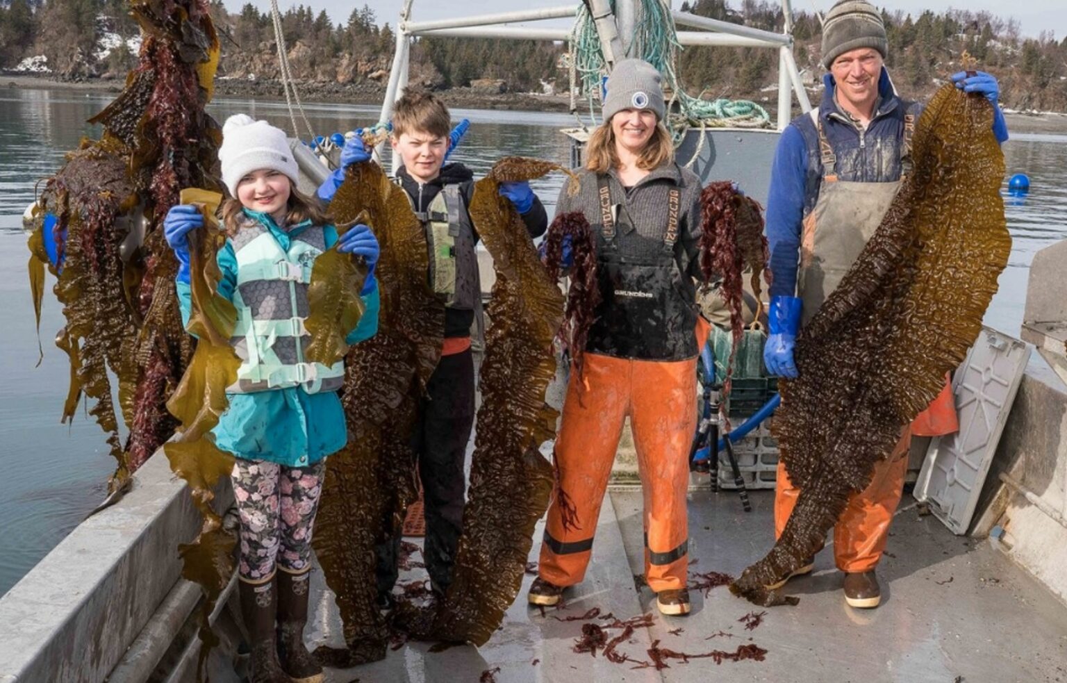 Foodies and Foragers of the North: Kelp can help round out a meal ...