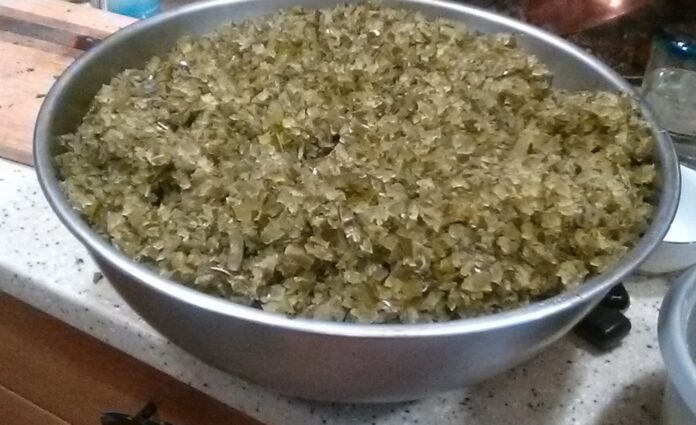 Foodies and Foragers of the North: Kelp can help round out a meal ...