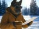 DOGE Alaska: State union demands will drive costs - Must Read Alaska