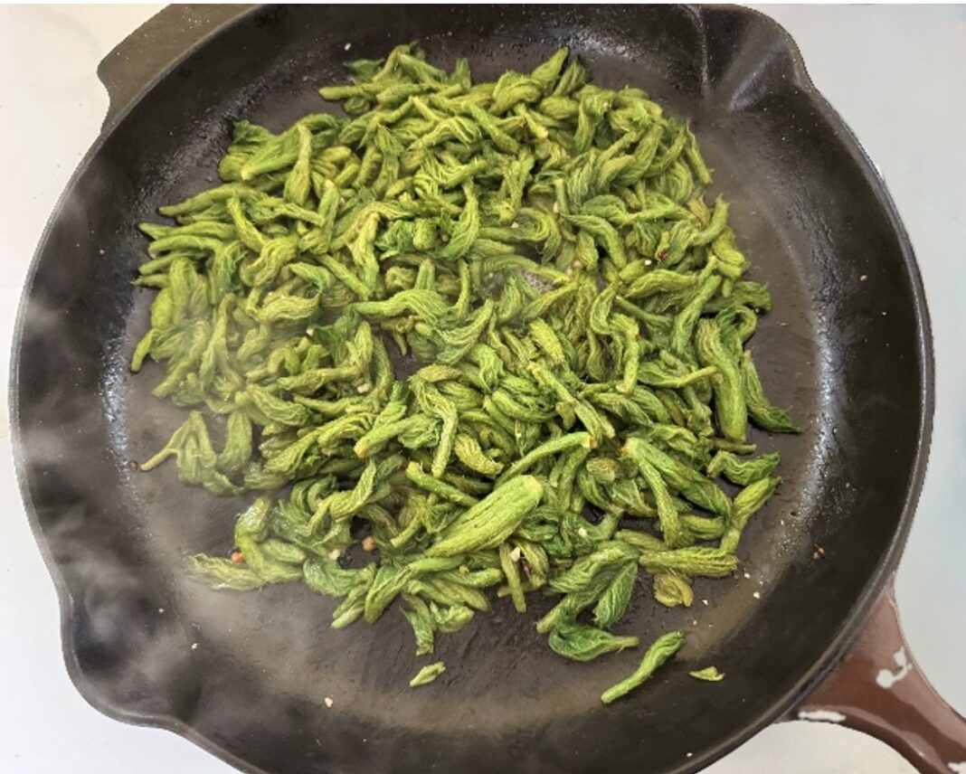 Foodies and foragers: Have you tried devil’s club? - Must Read Alaska