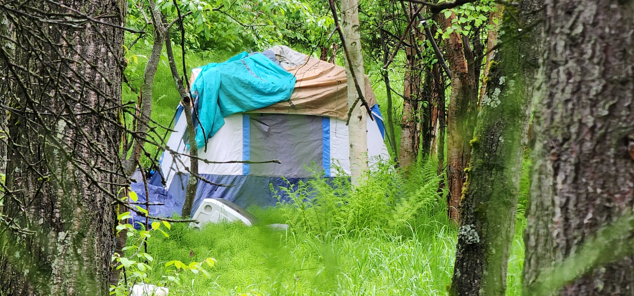 No Major Homeless Camps in Anchorage for First Time in Over a Decade ...