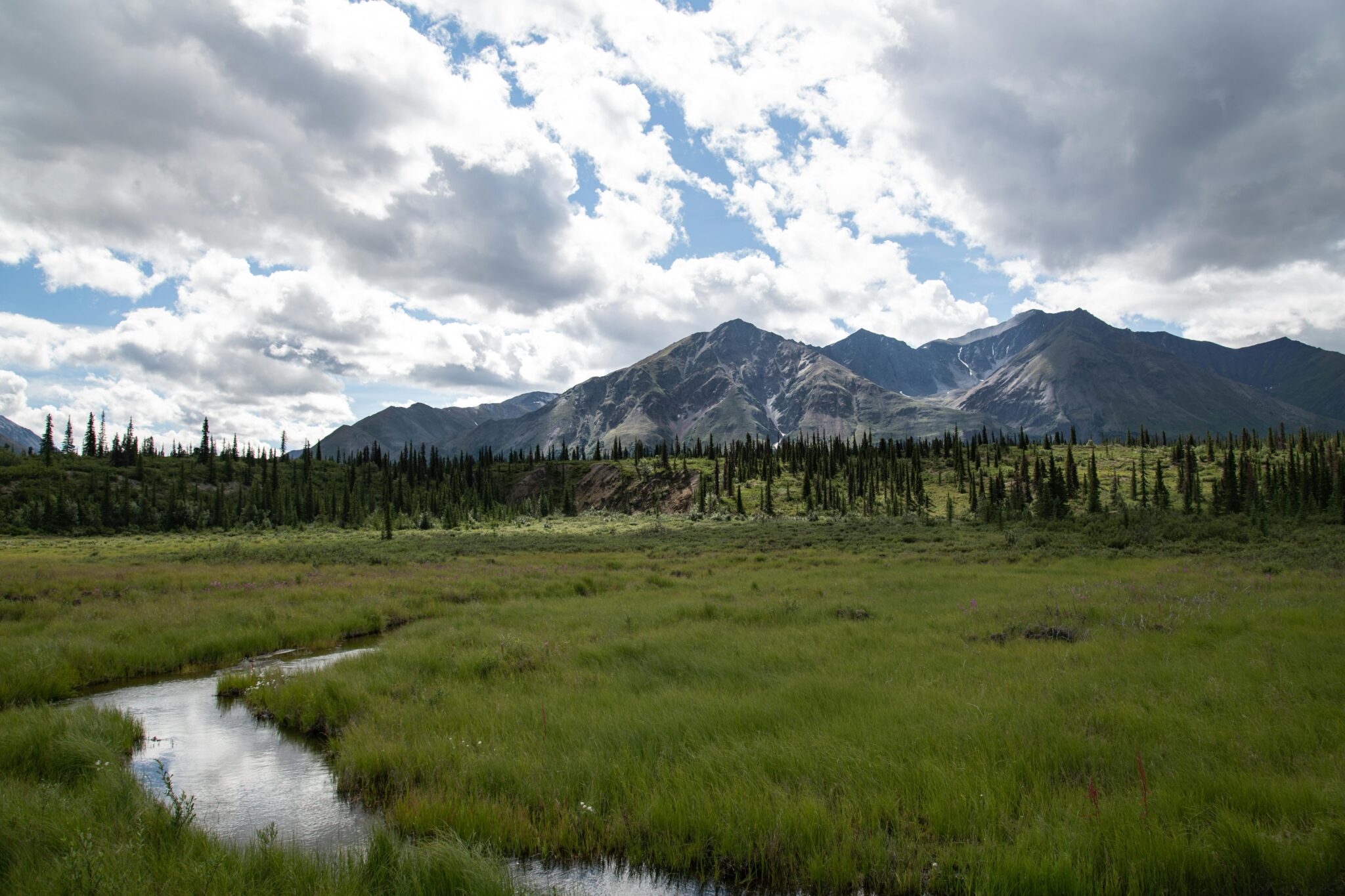 Alaska’s Statehood Design and the Land System that Never Fully Took ...
